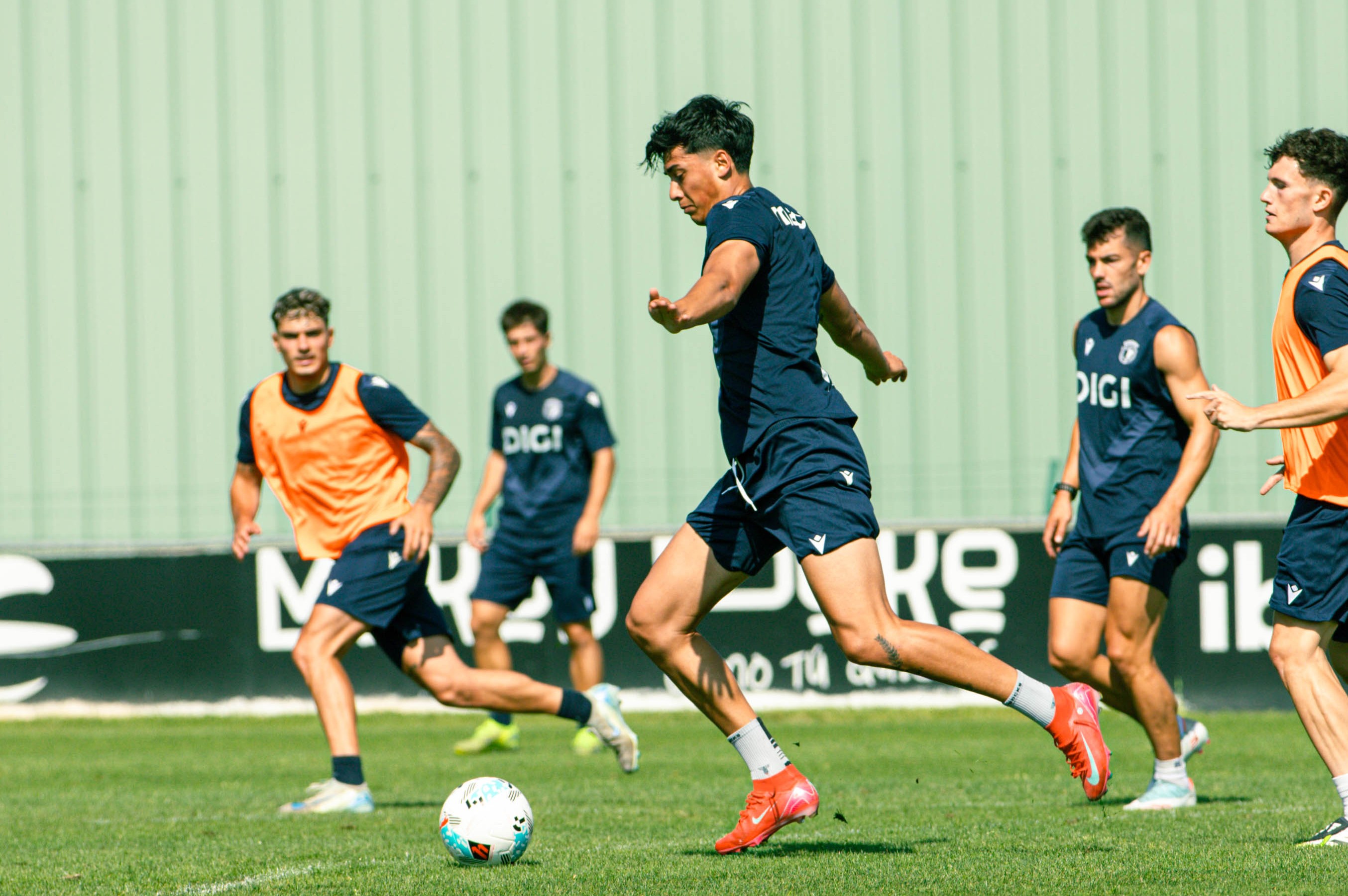 Thewildborns she 's very adaptable of your needs and