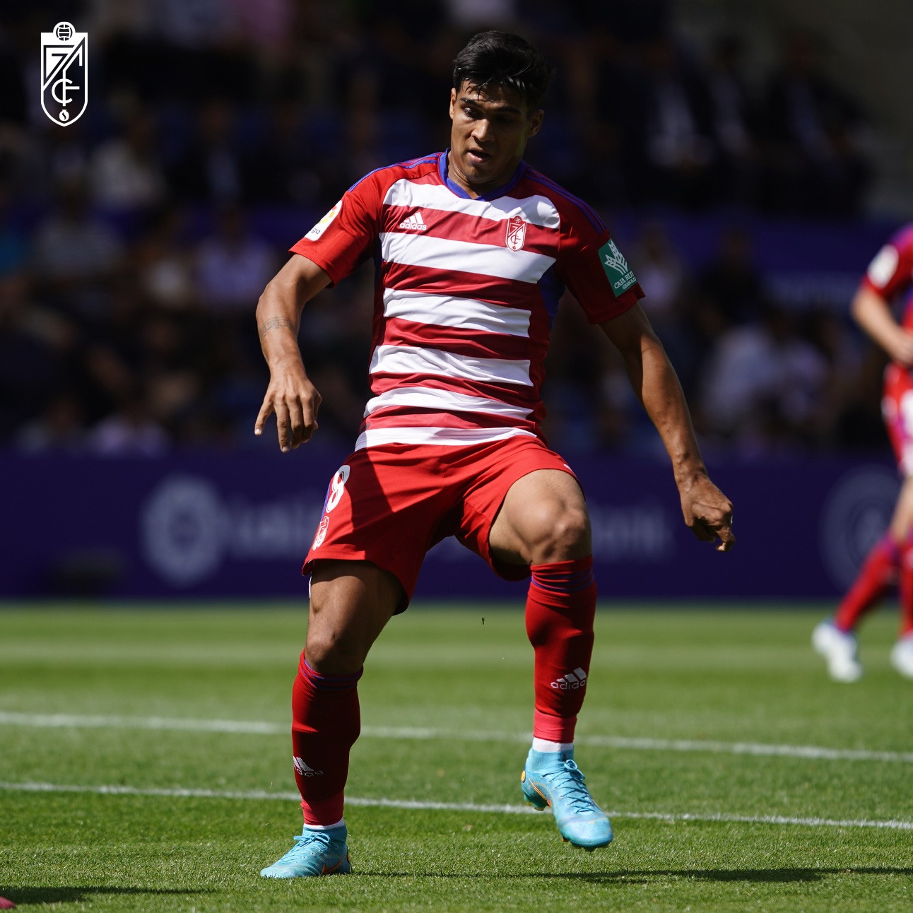 Comunicado Oficial | Matías Arezo | Granada CF | Web Oficial