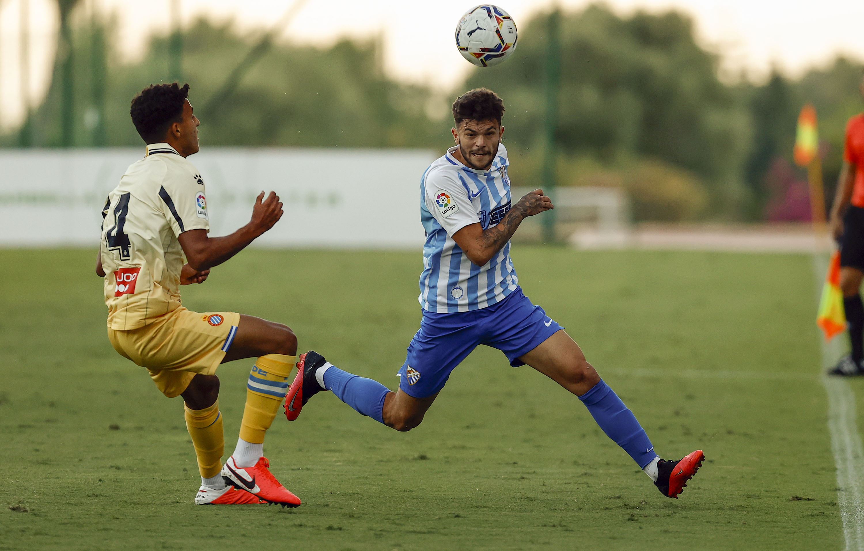MCF Academy results | Málaga CF | Web Oficial