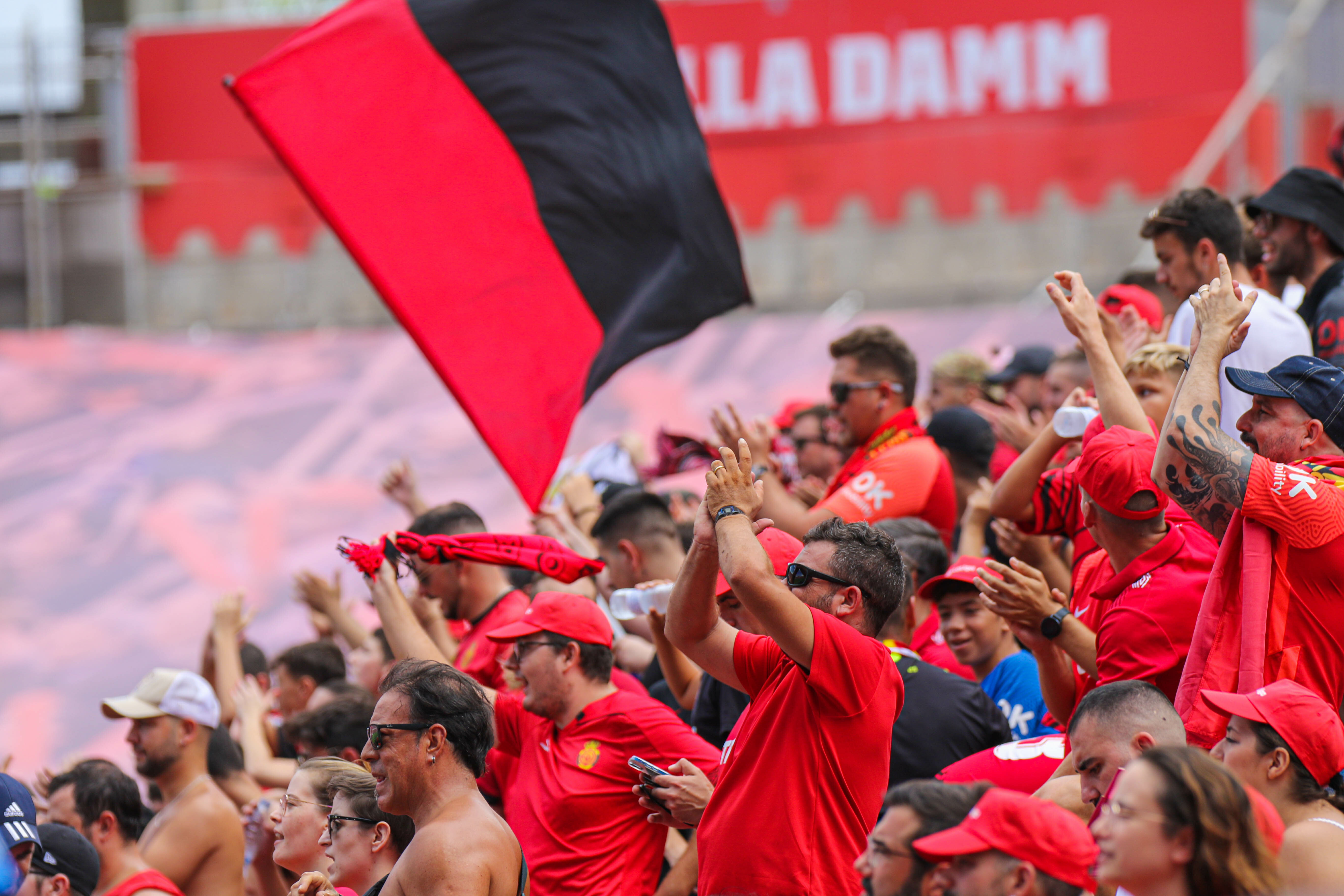 Comienza el plazo de altas nuevas | RCD Mallorca | Web Oficial