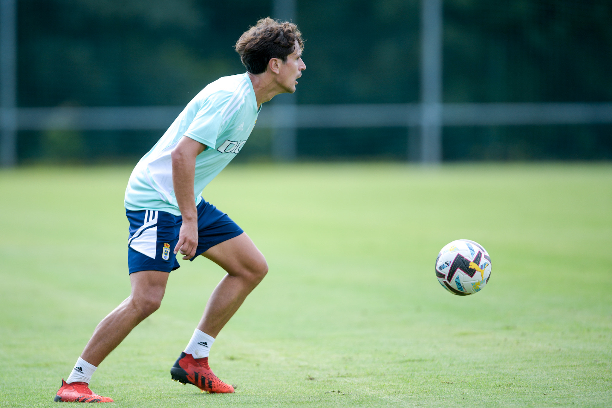 Sangalli: "La afición se siente identificada con lo que hacemos" | Real ...