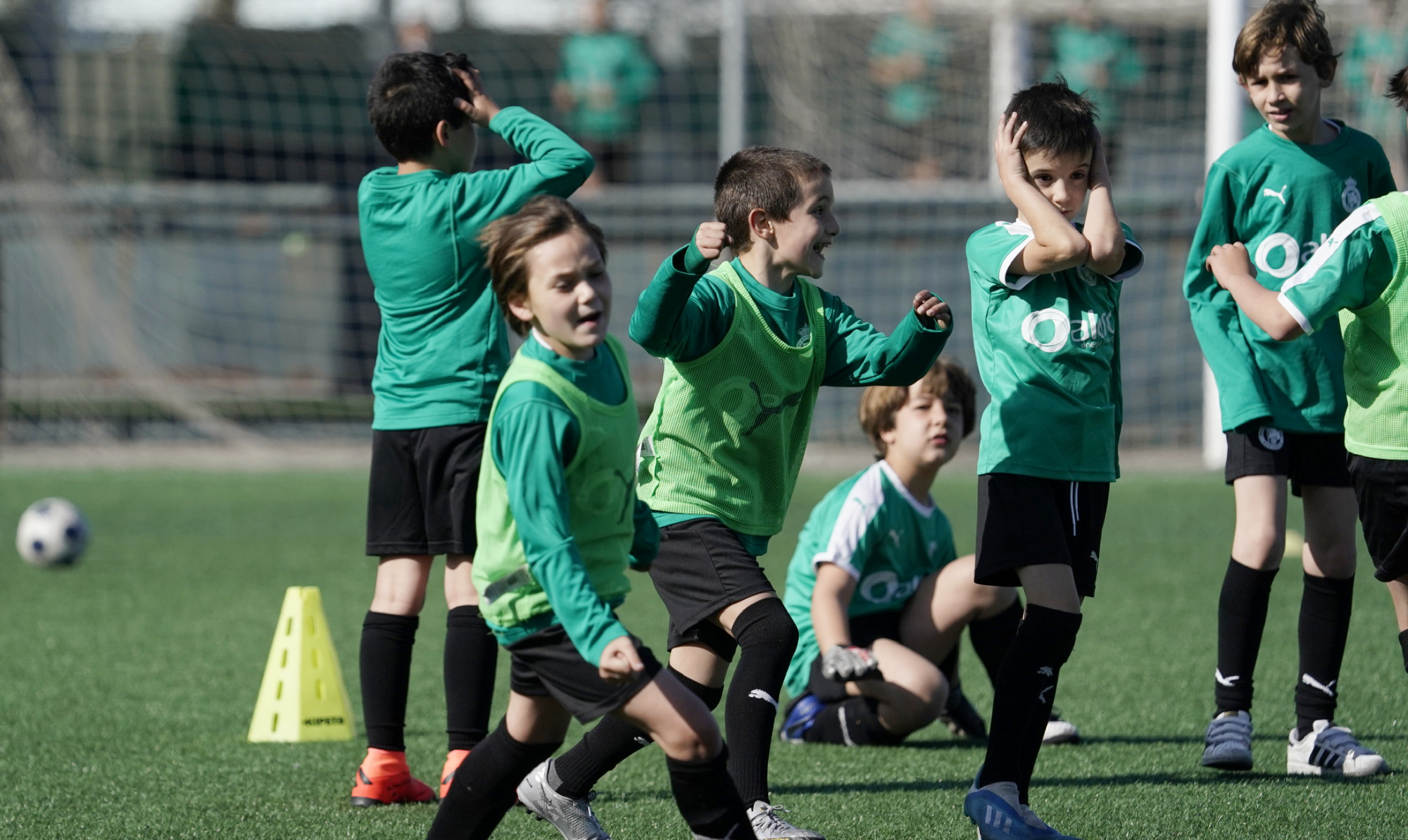 El Campus de Verano, en las Instalaciones Nando Yosu del 28 de junio al ...