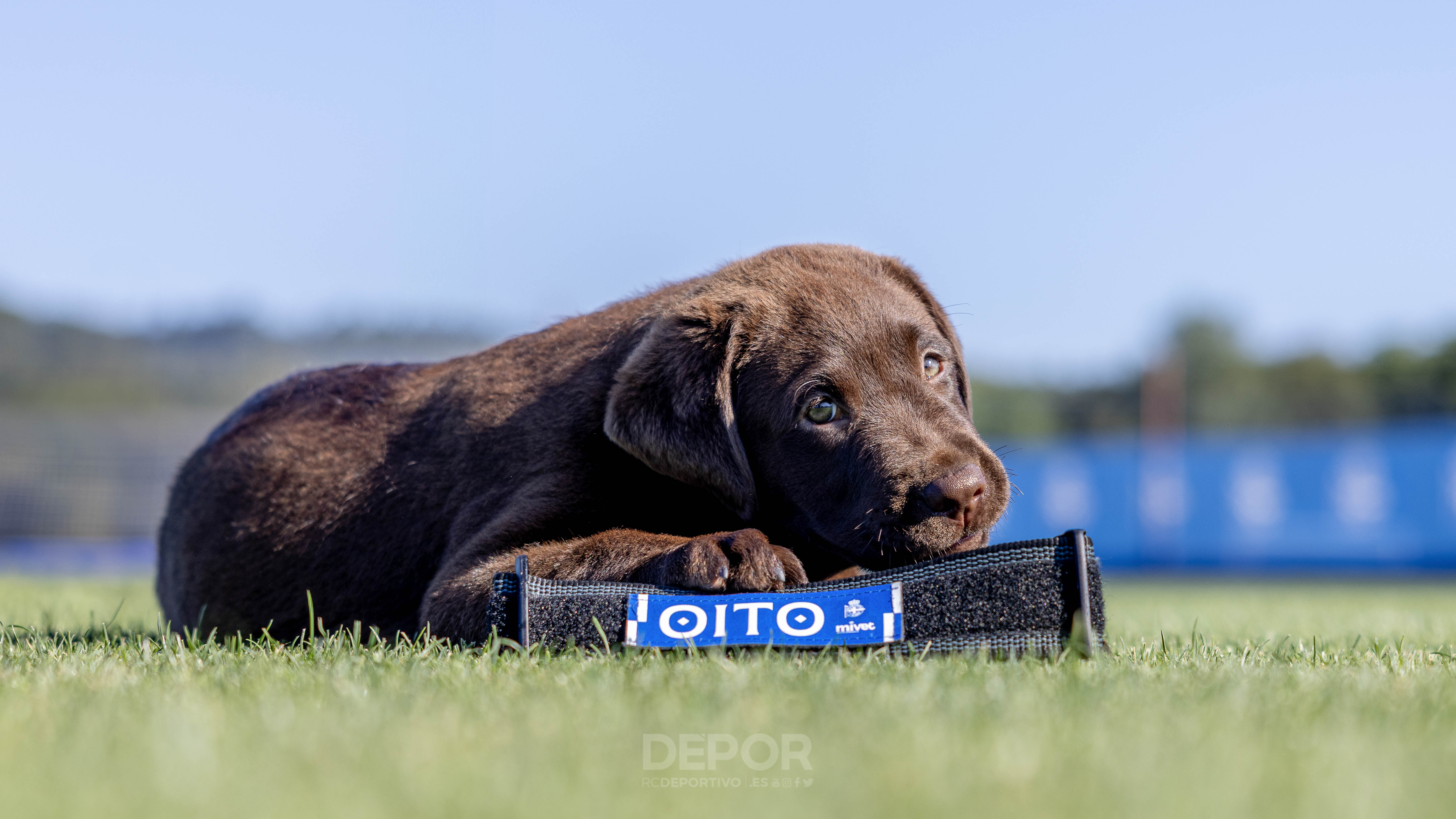 Alyex sater xxx needed a genuine massage with a pleasant